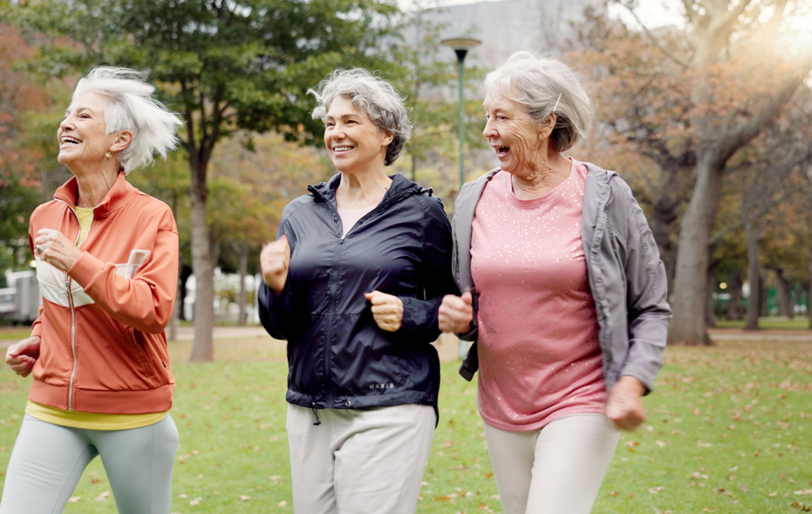 5 Low-Impact Exercises Perfect for Seniors | NJ